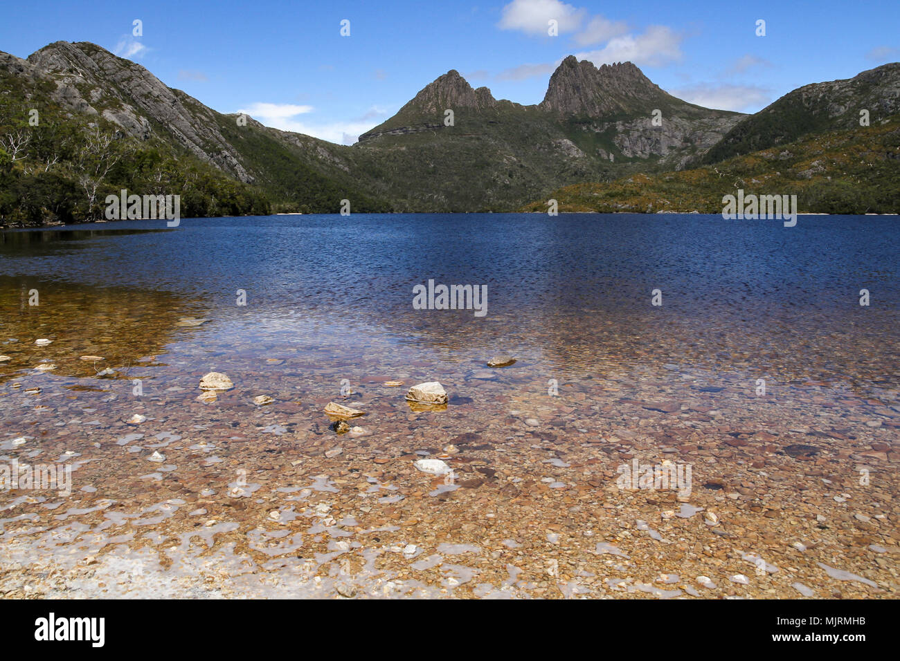Alpine vegetation australia hi-res stock photography and images - Alamy