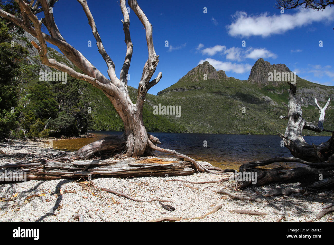 Cradle Mountain, a popular Tasmanian tourist destination, with Dove ...