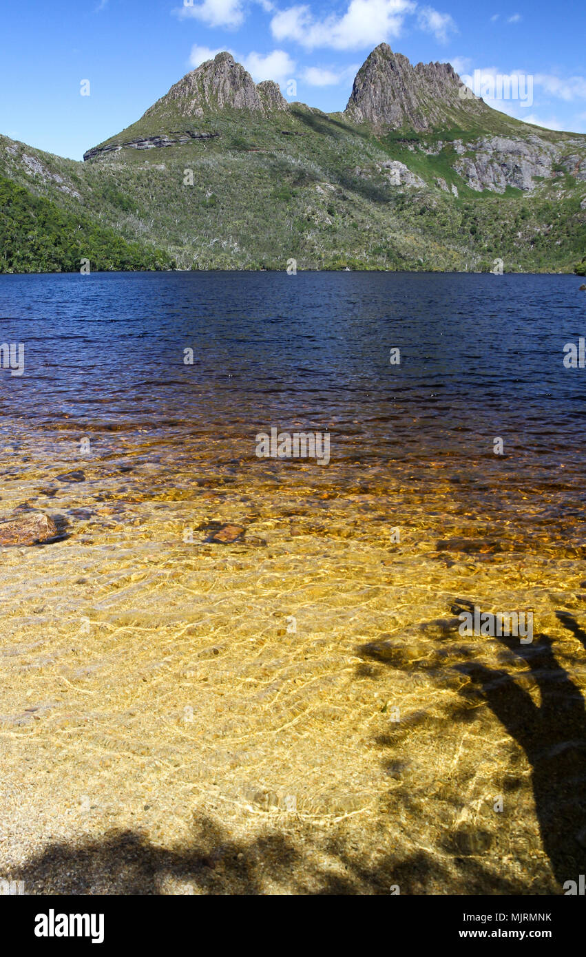 Alpine vegetation australia hi-res stock photography and images - Alamy