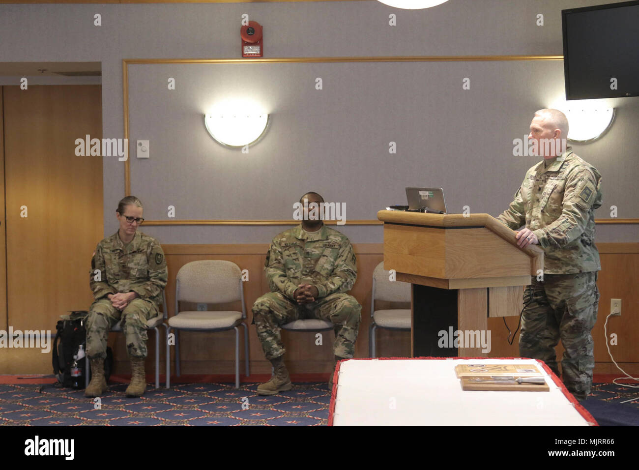 Col. Michelle Link, commanding officer for the 372nd Engineer Brigade ...