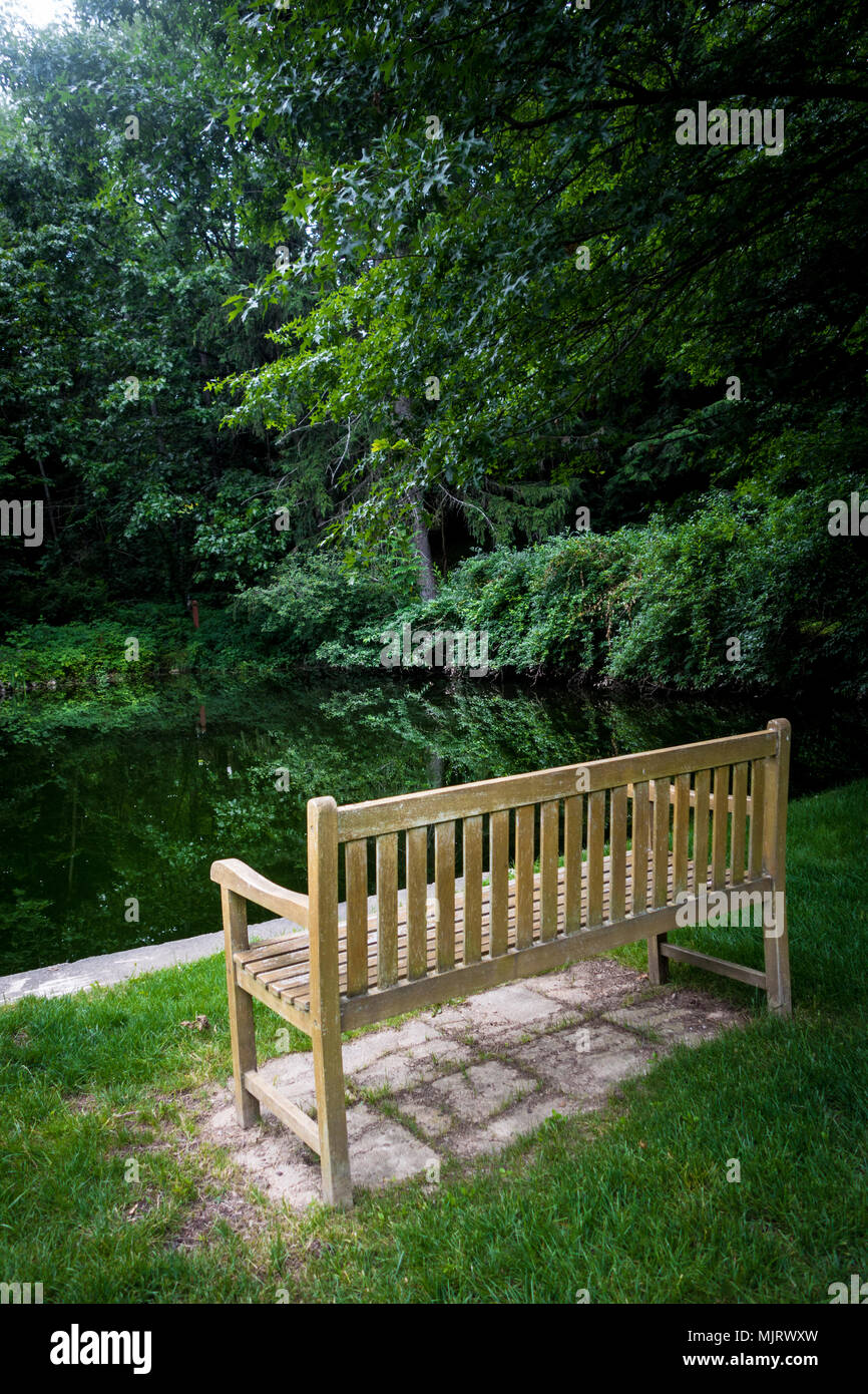 Pond surrounded by trees hi-res stock photography and images - Alamy