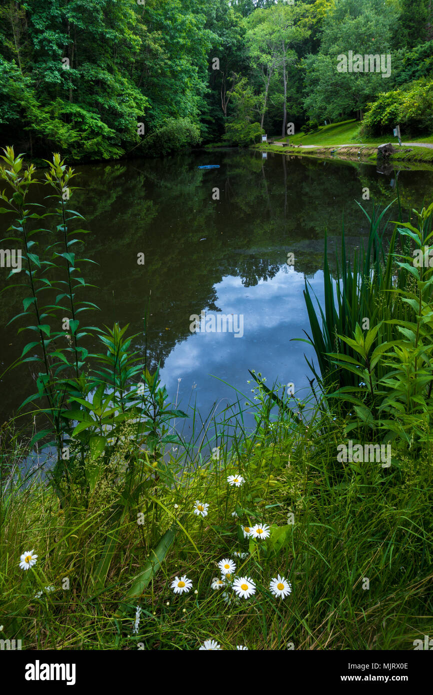 Water with greenery hi-res stock photography and images - Alamy