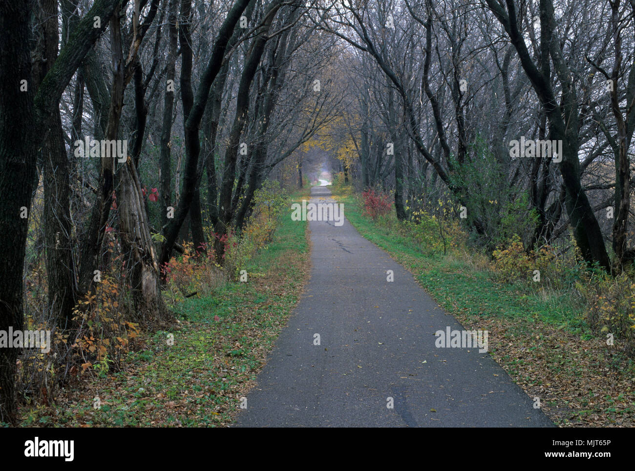Railtrail, Sakatah Hills State Trail, Blue Earth County, Minnesota ...