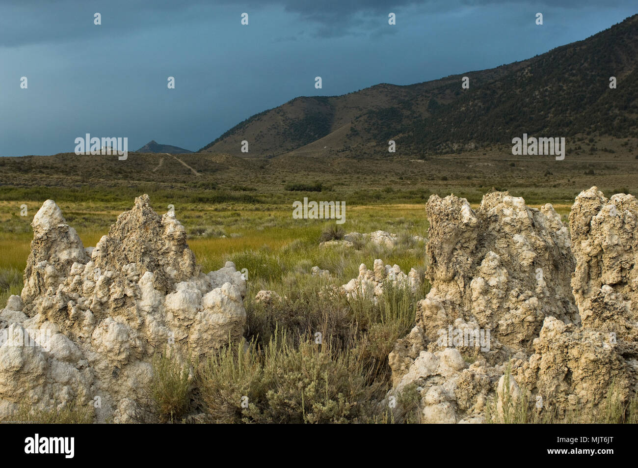 Morning lights up the South Tufa area of Mono Lake Stock Photo - Alamy