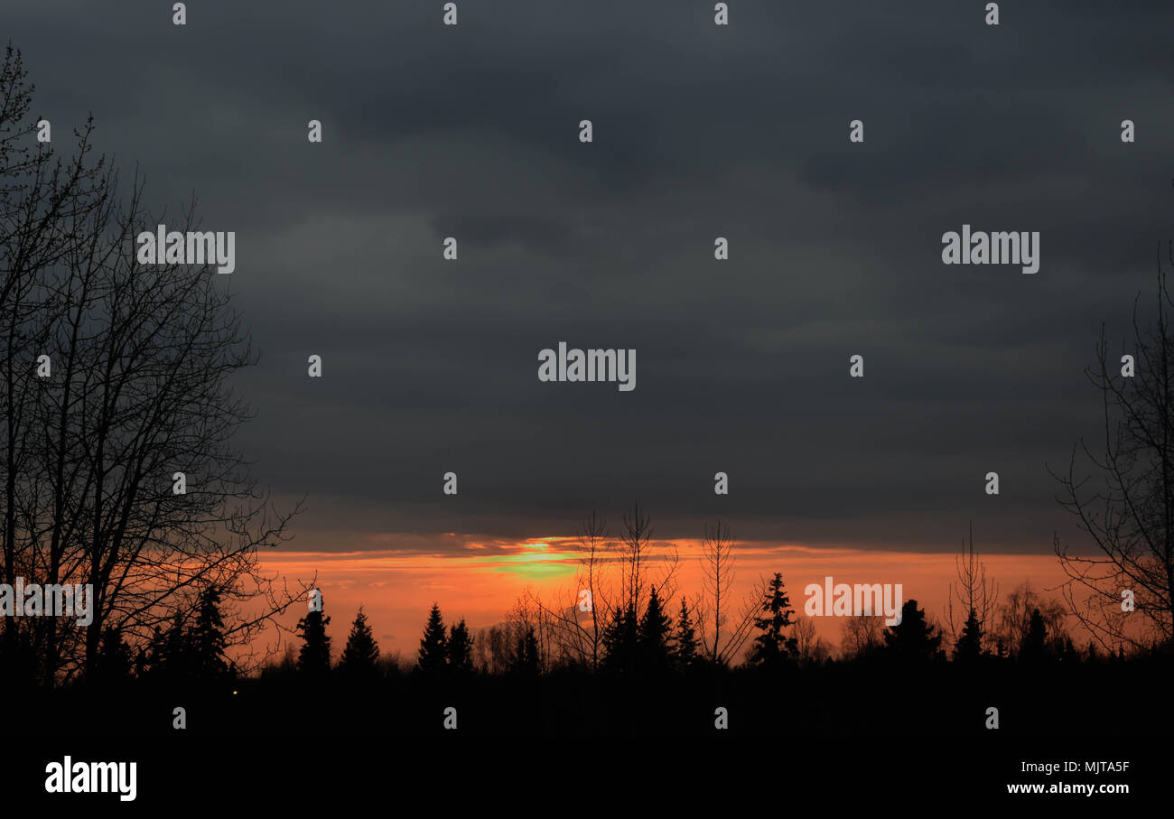 Tree anchorage hi-res stock photography and images - Alamy