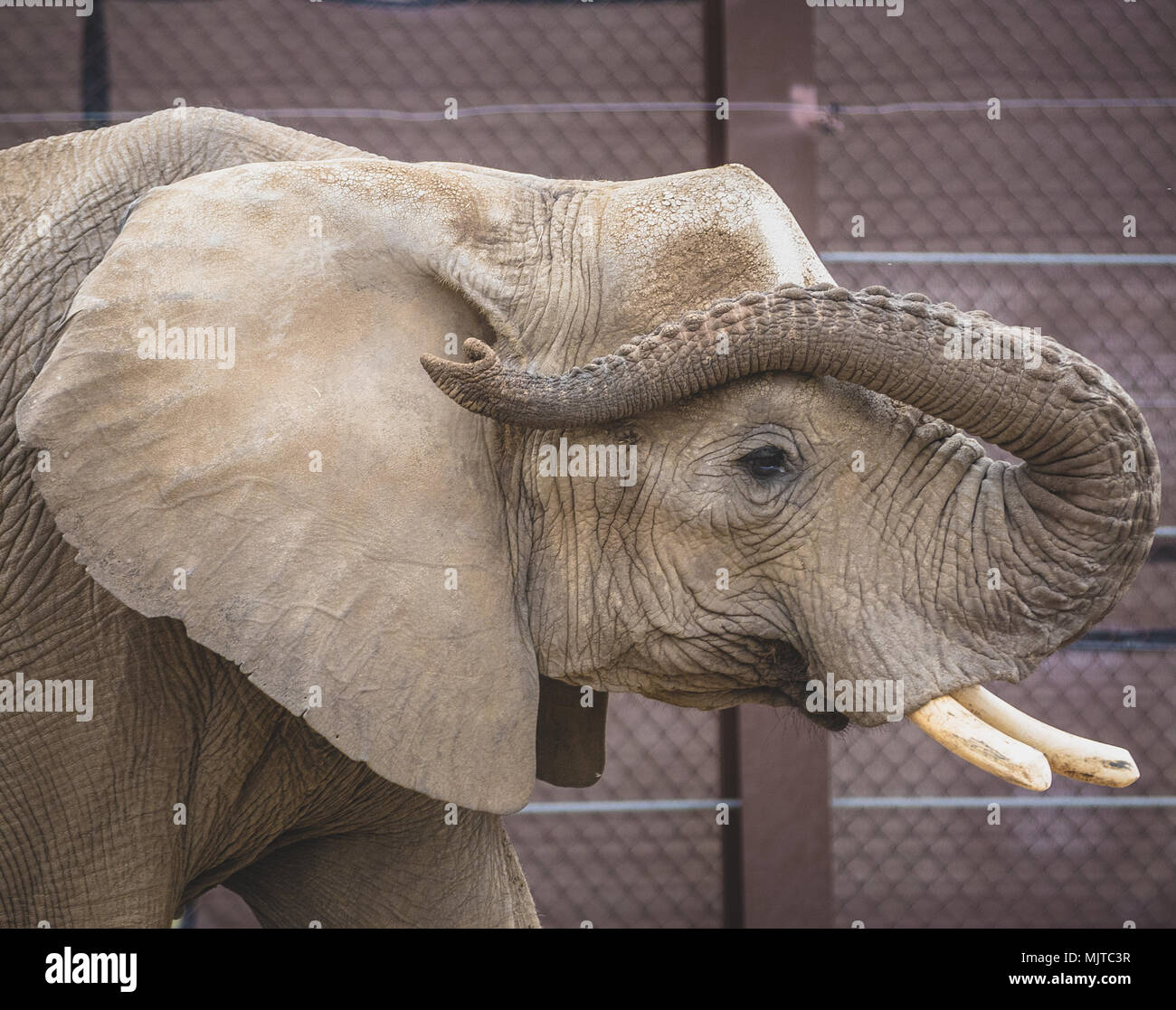 Omaha's Henry Doorly Zoo and Aquarium Stock Photo - Alamy