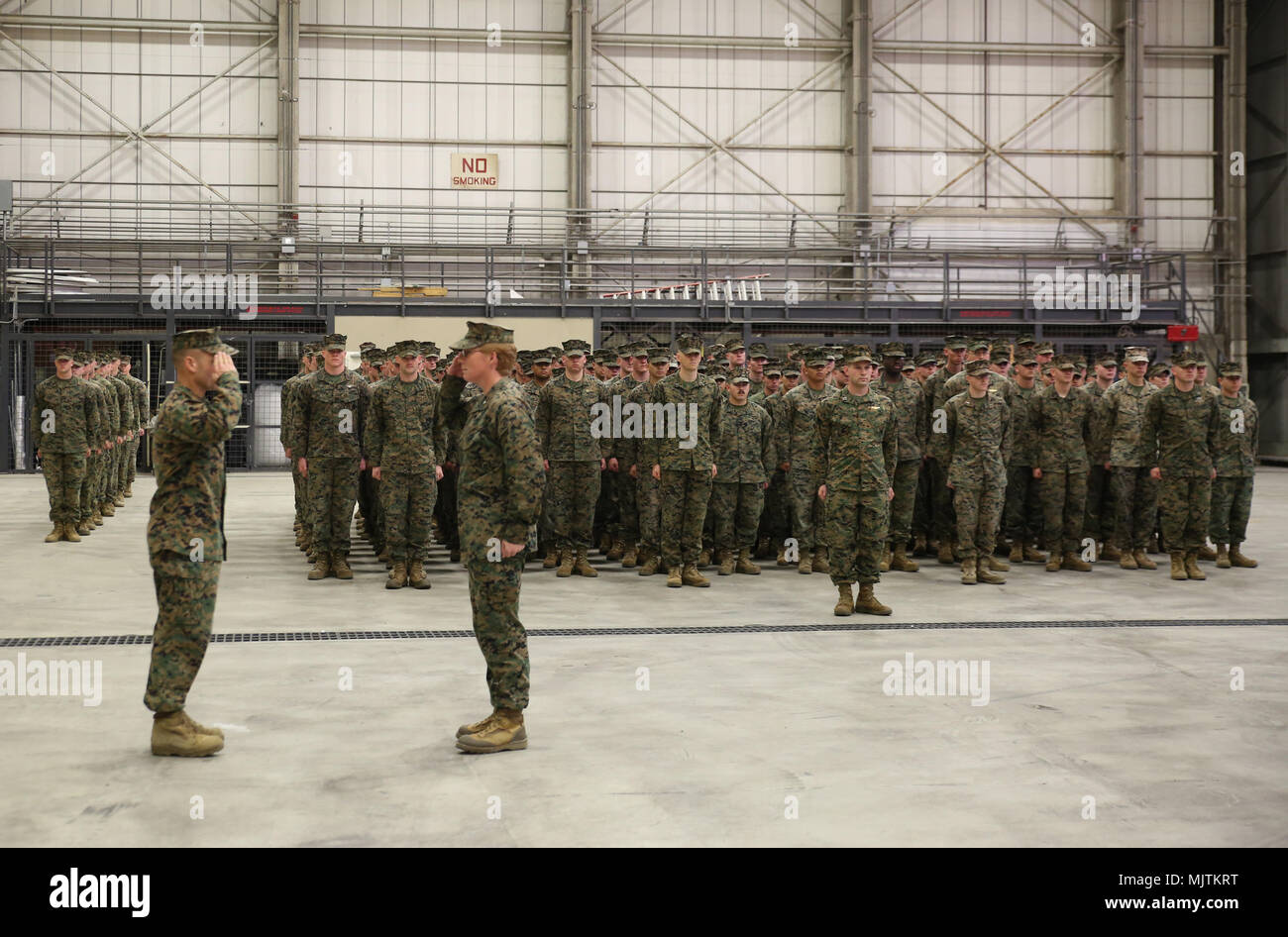 Lieutenant Col. Karin Fitzgerald, the commanding officer for Special ...