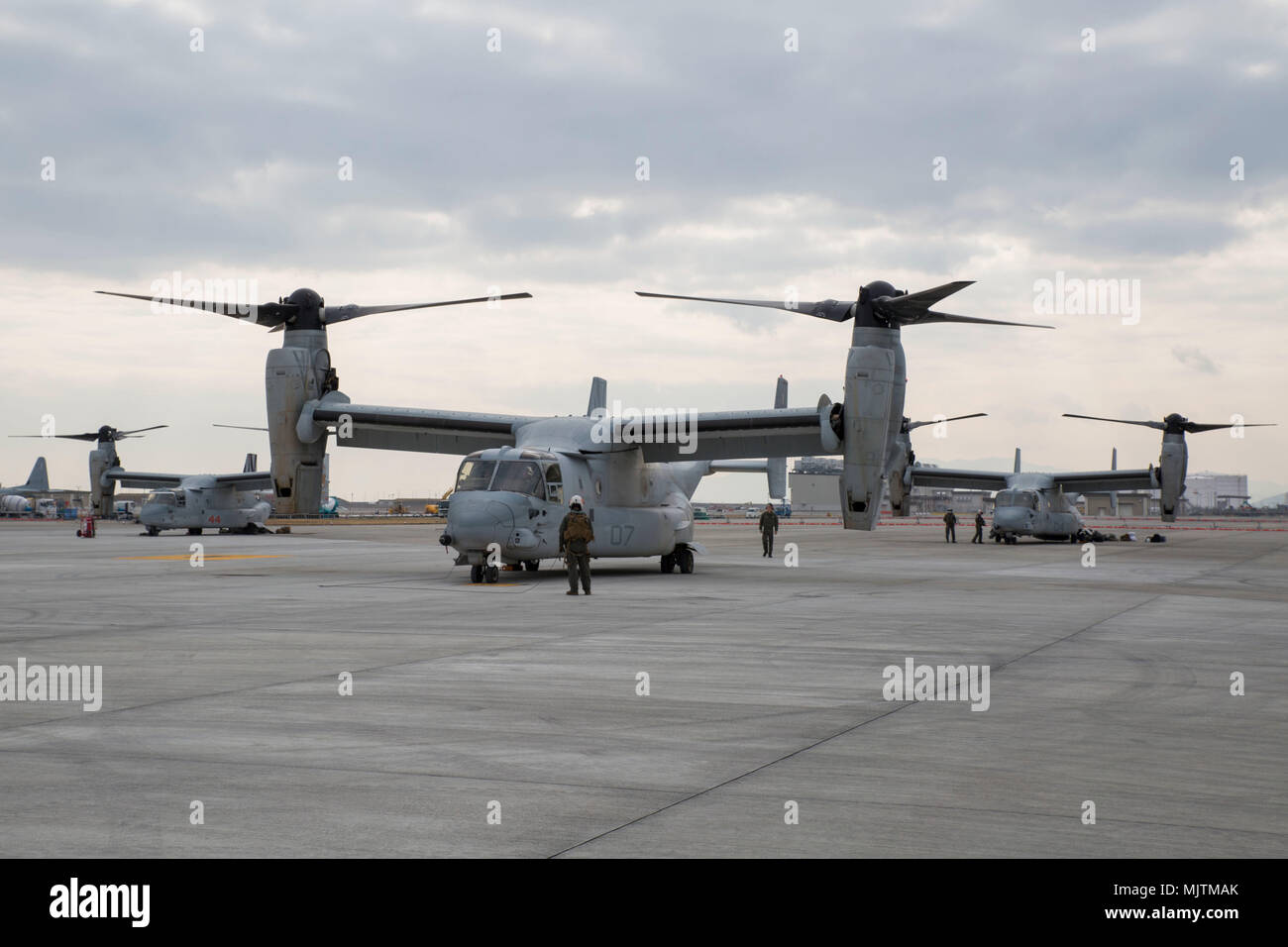 U.S. Marines with Marine Medium Tiltrotor Squadron (VMM) 262, stationed ...