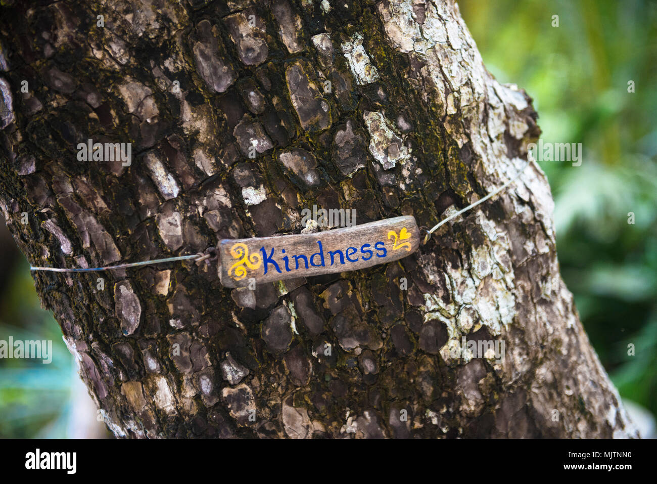 Doscpveru hi-res stock photography and images - Alamy