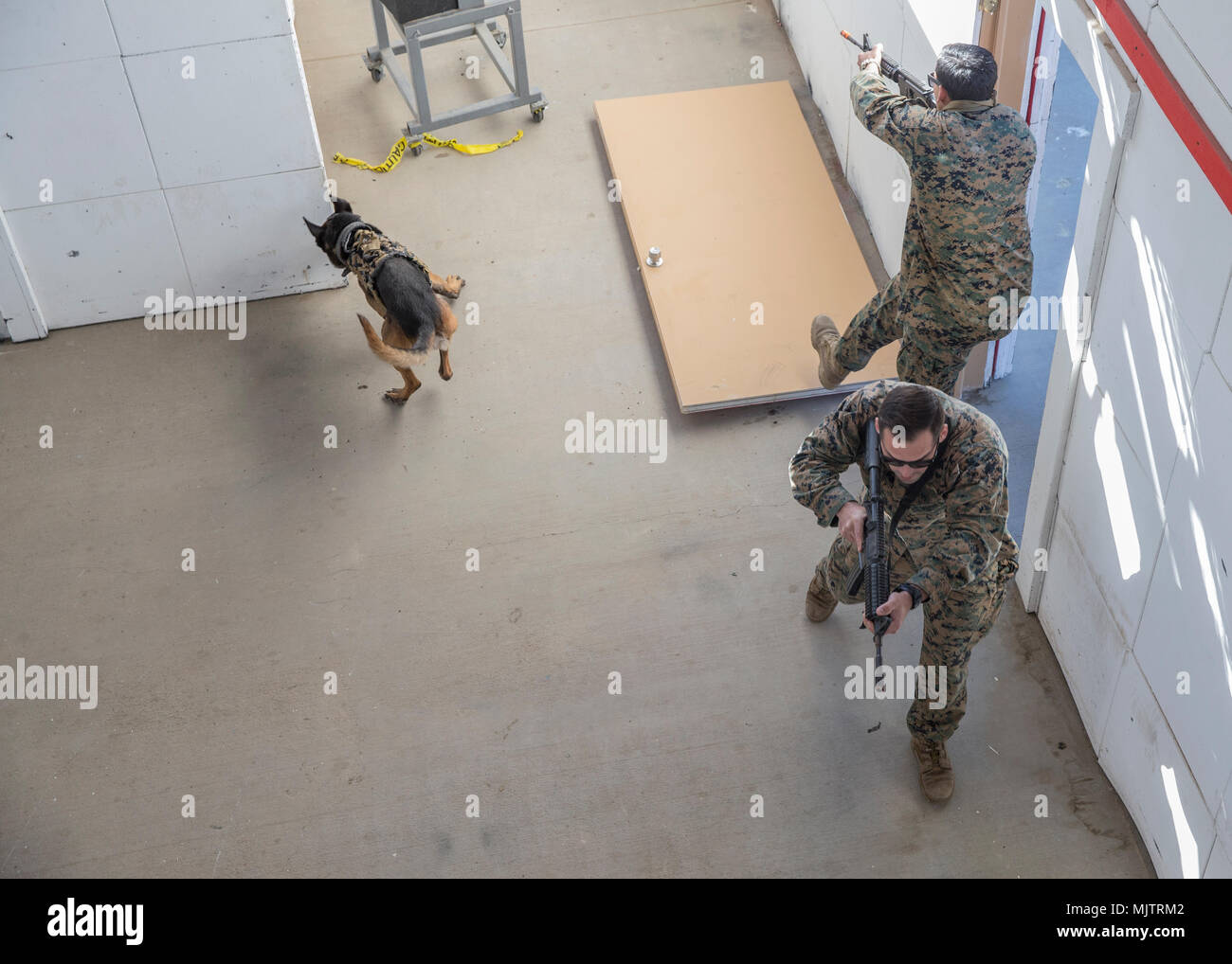 Marine raiders with 1st Marine Raider Battalion breach and clear a room ...