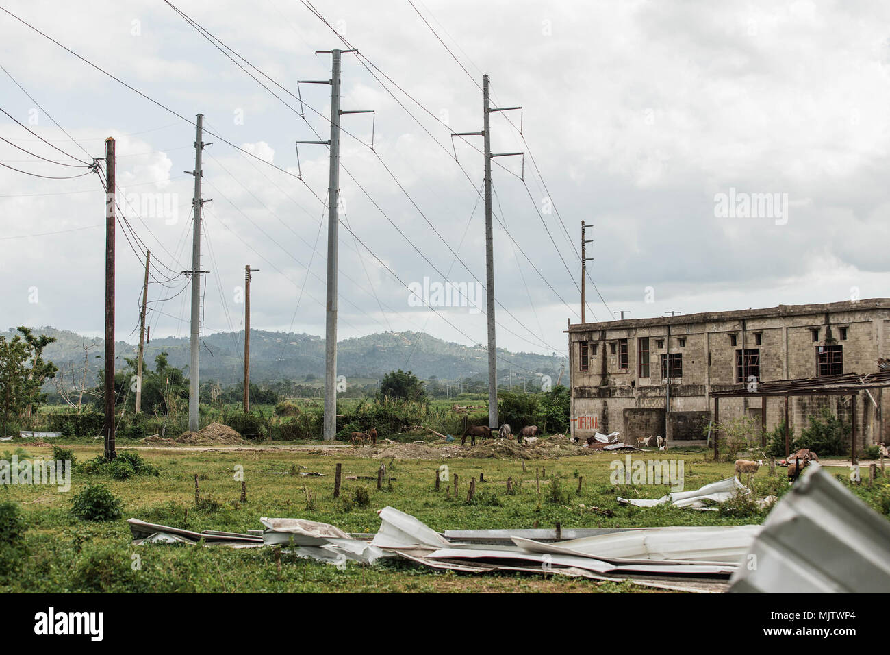Mayaguez, Puerto Rico, Dec. 8, 2017--Contractors installed wood and ...