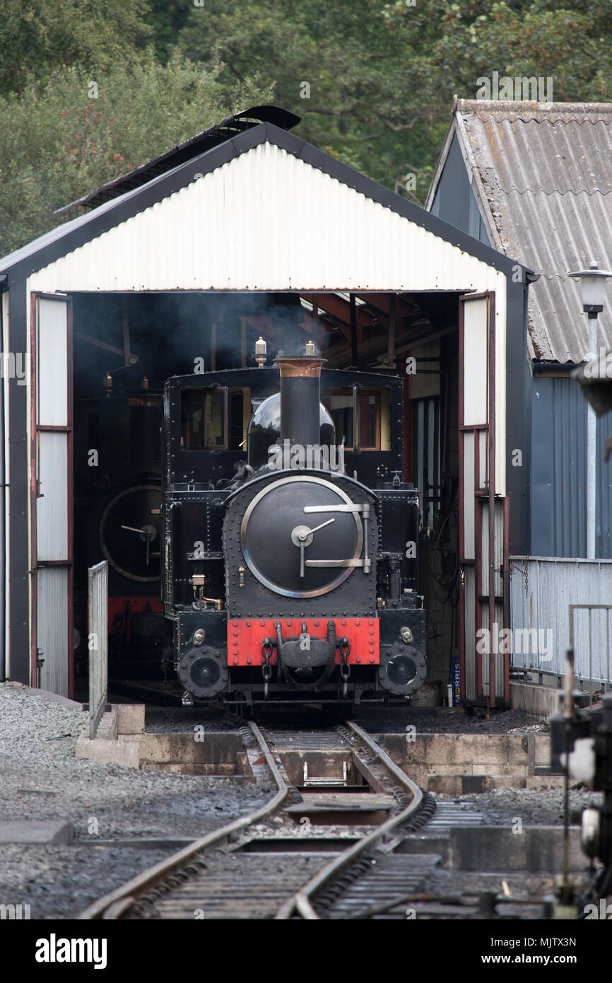 Welshpool and llanfair light railway hi-res stock photography and ...