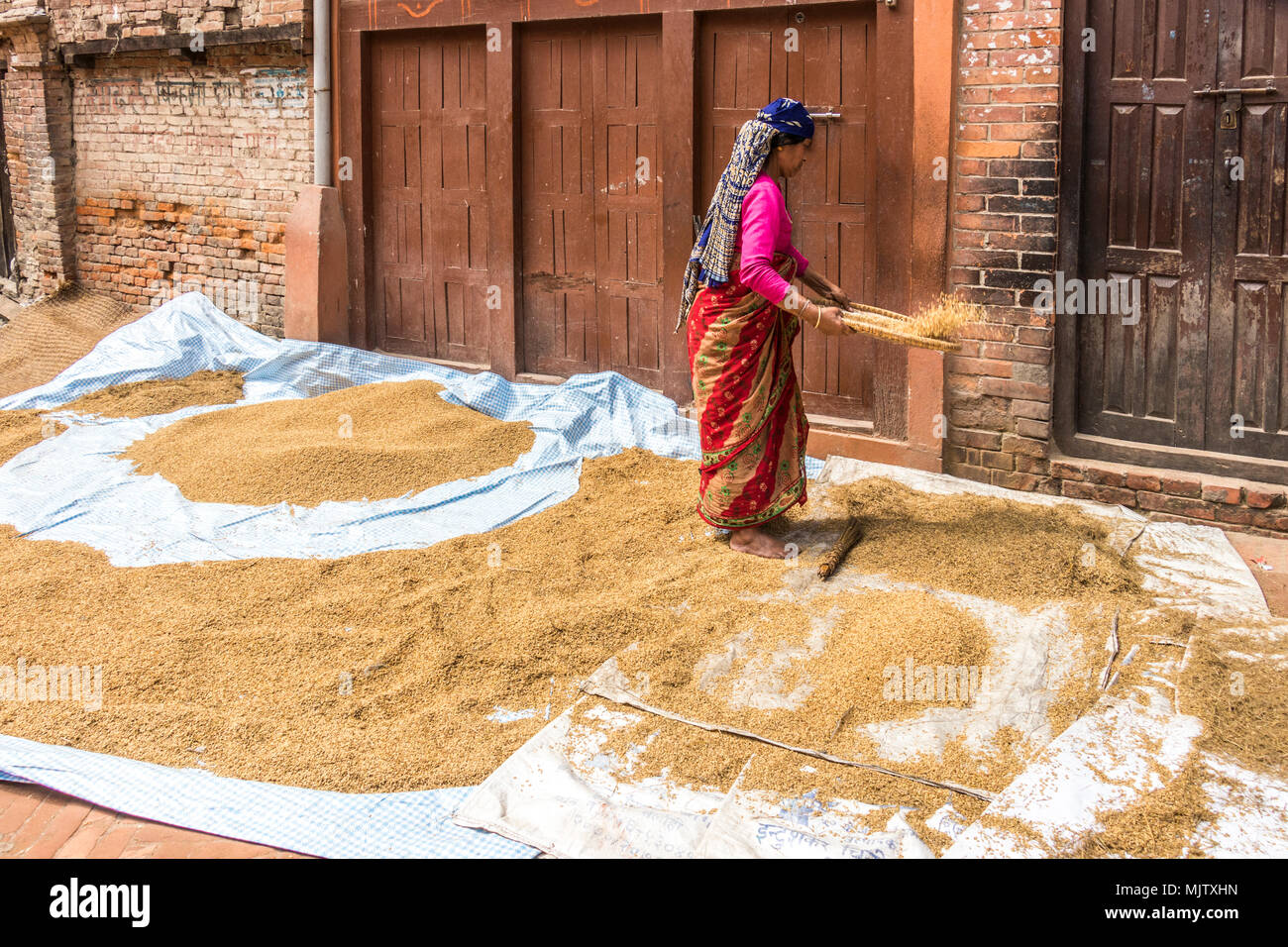 Woman using traditional way of sifting rice in Bhaktapur Nepal Stock ...