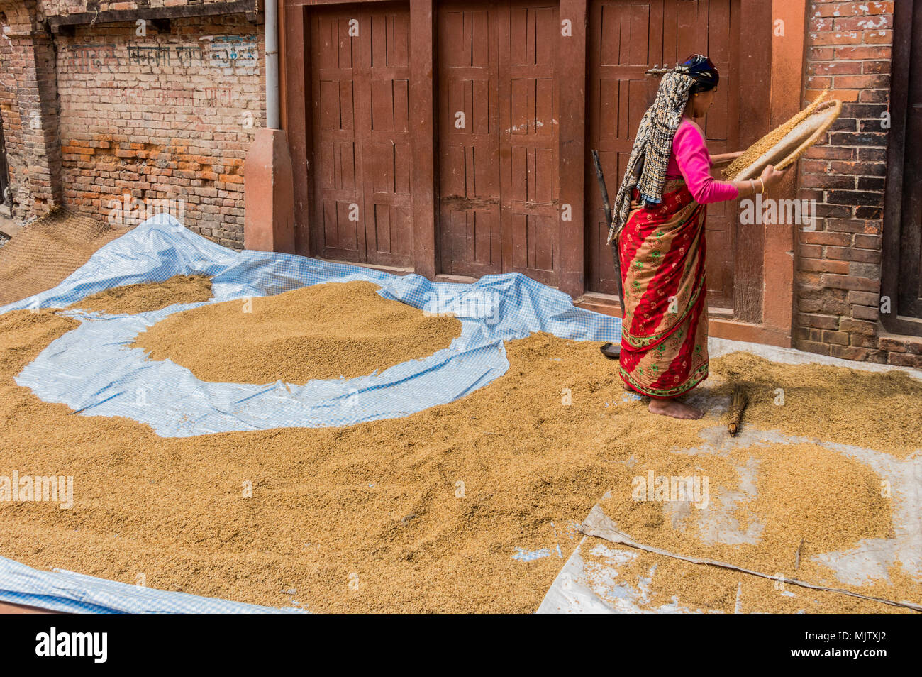 Woman using traditional way of sifting rice in Bhaktapur Nepal Stock ...