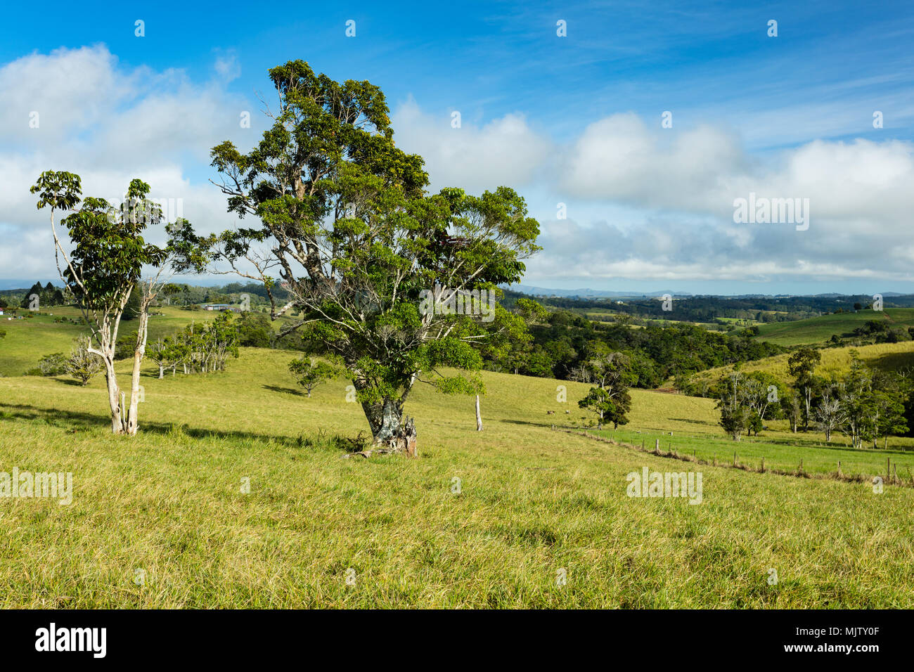 Gillies range hi-res stock photography and images - Alamy