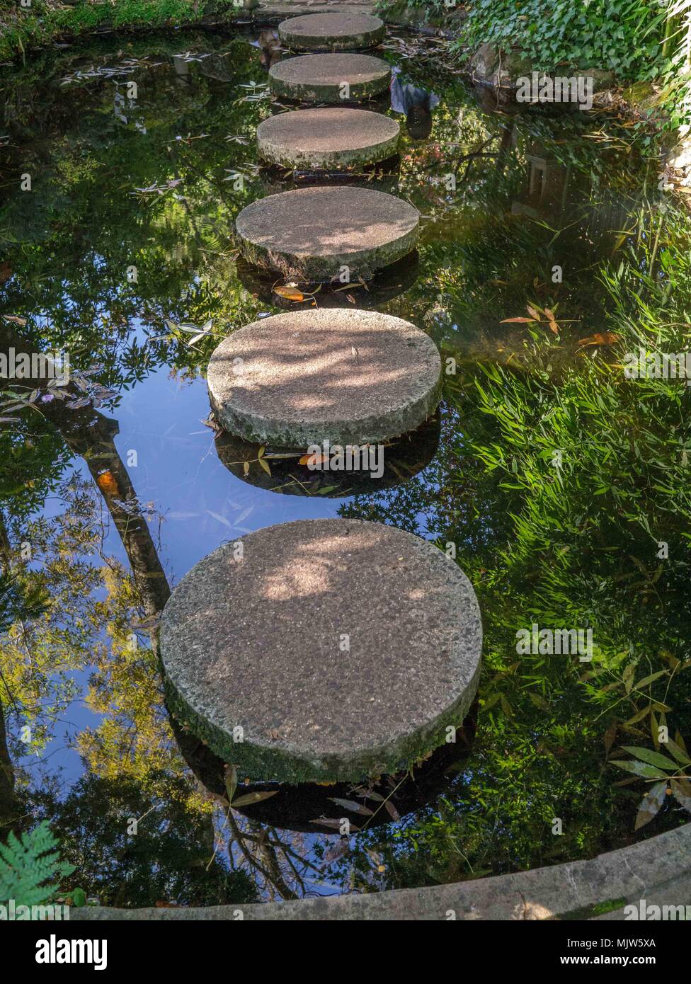 Stepping stones pond hi-res stock photography and images - Alamy