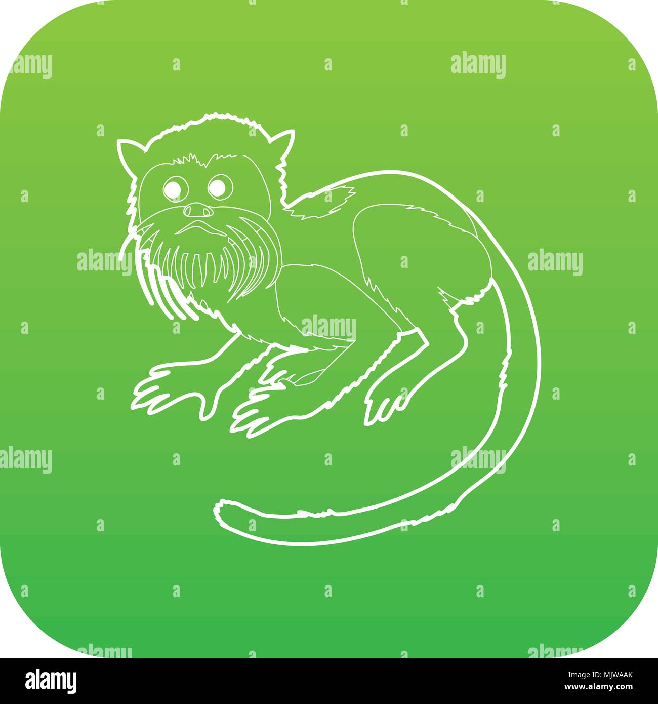 Imperial tamarin icon green vector Stock Vector Image & Art - Alamy