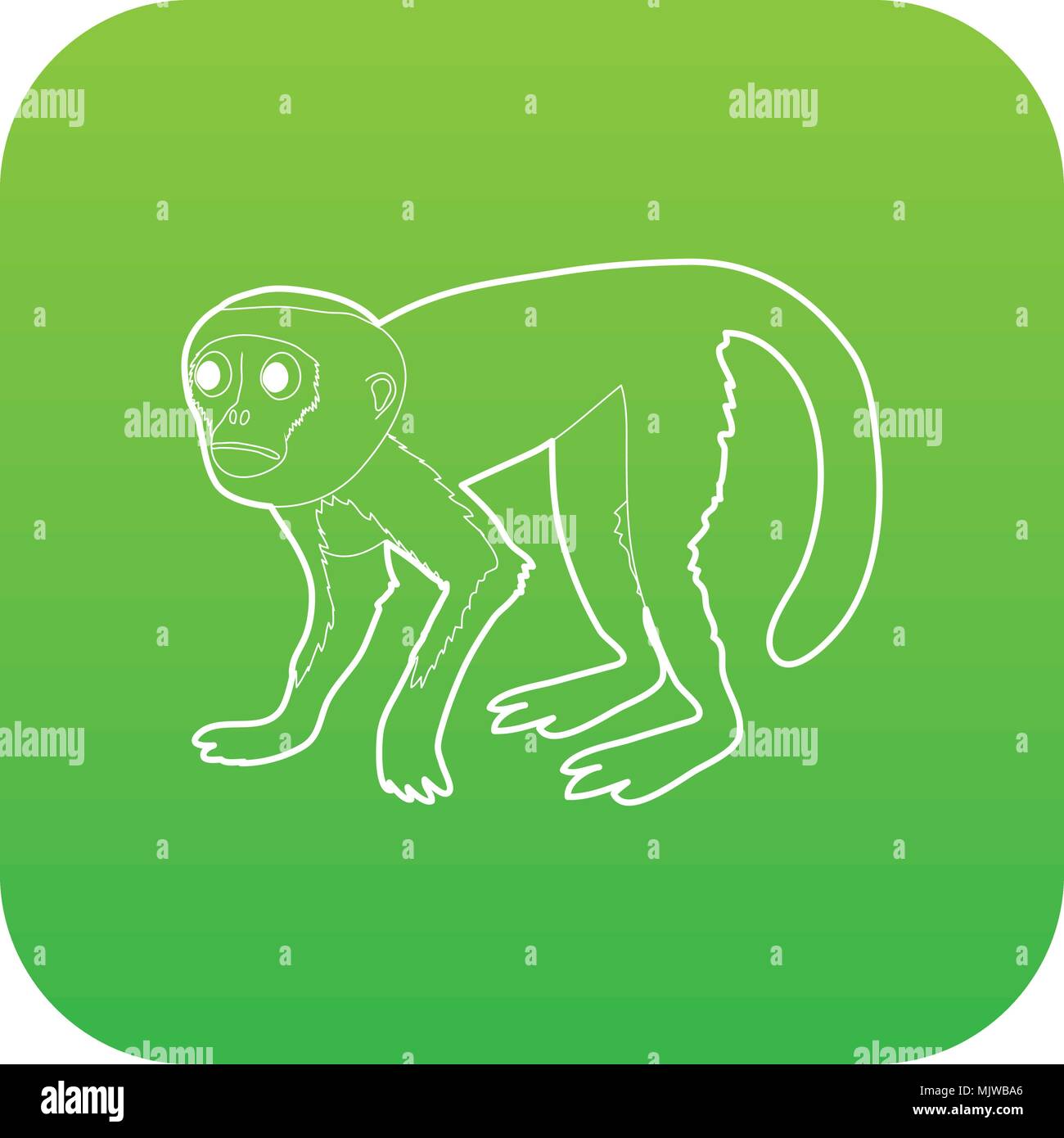 Capuchin monkey silhouette hi-res stock photography and images - Alamy