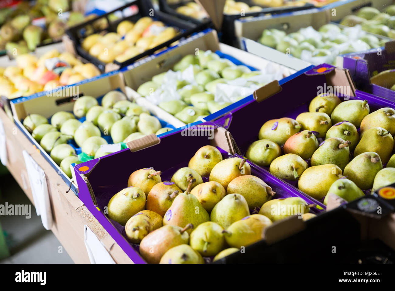 Ripe juicy pear in the storefront at the grocery store Stock Photo - Alamy