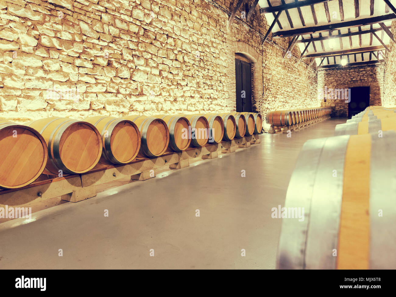 Interior of winery with many barrels Stock Photo - Alamy