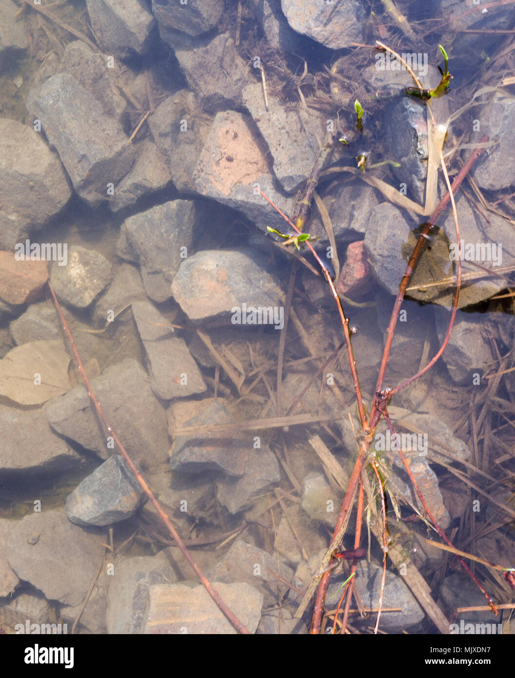 dirty rocks in the pond background. nature, pattern Stock Photo - Alamy