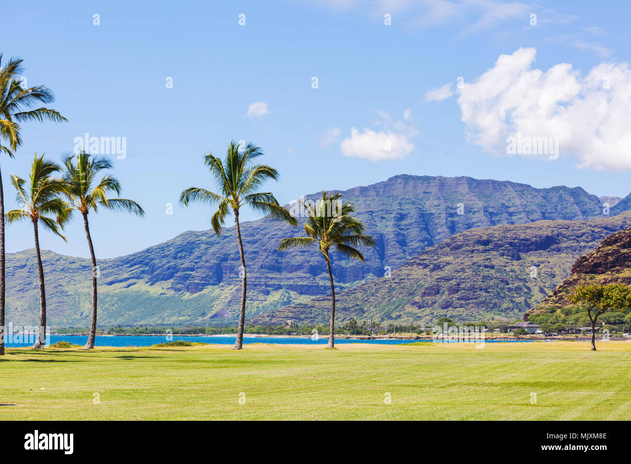 Beautiful landscapes in Oahu island, Hawaii Stock Photo - Alamy