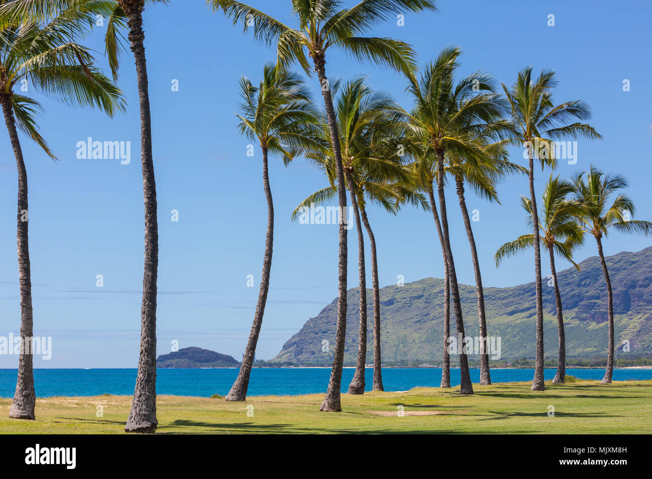 Beautiful landscapes in Oahu island, Hawaii Stock Photo - Alamy