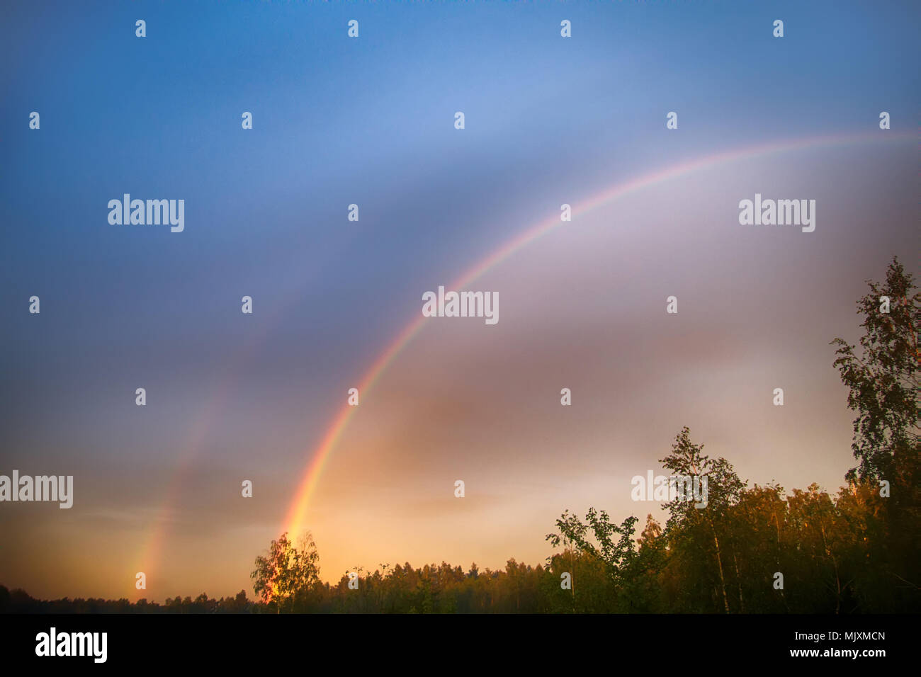 Double rainbow over forest, primary rainbow, second-order rainbow ...