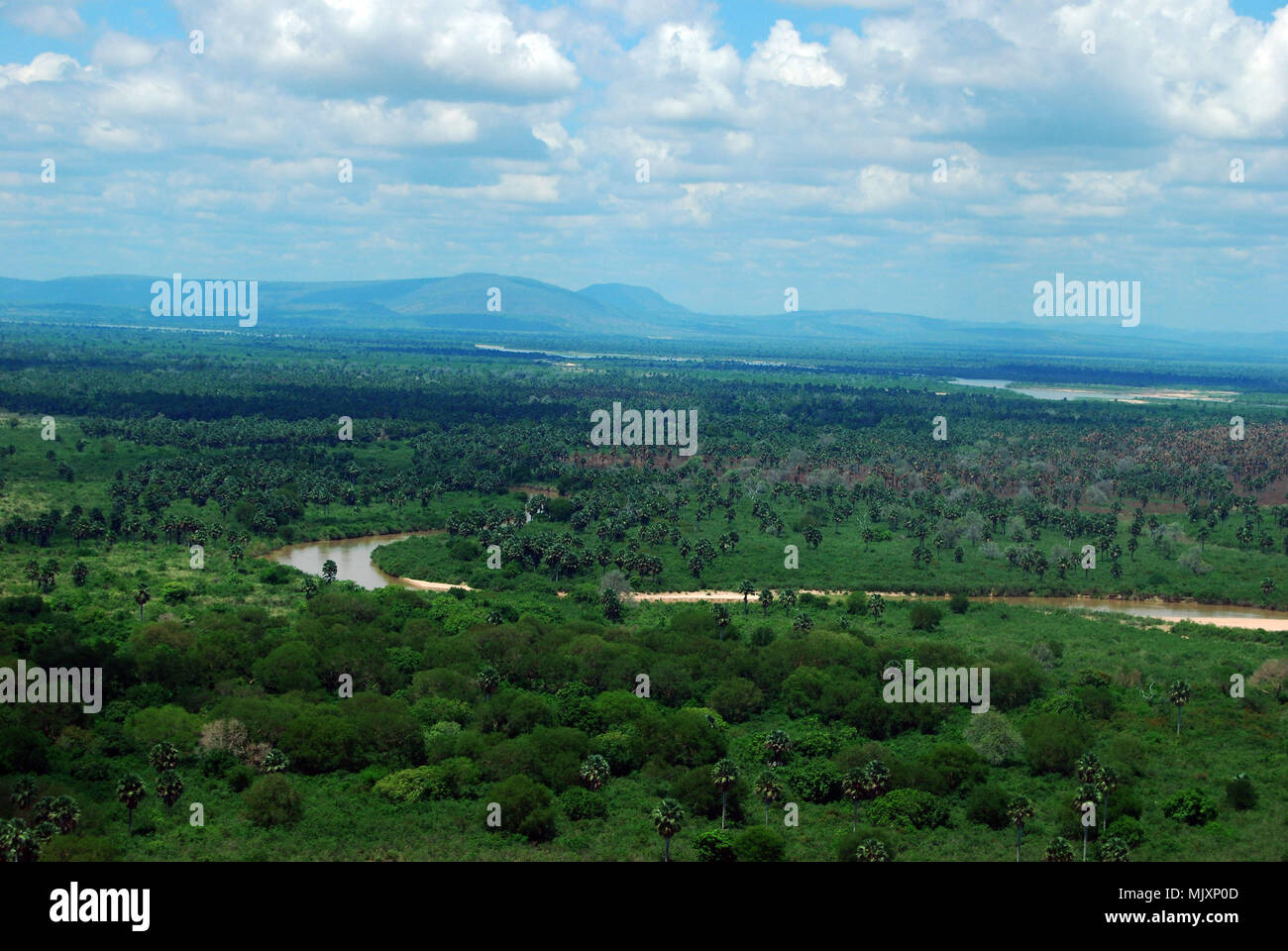 Selous aerial hi-res stock photography and images - Alamy