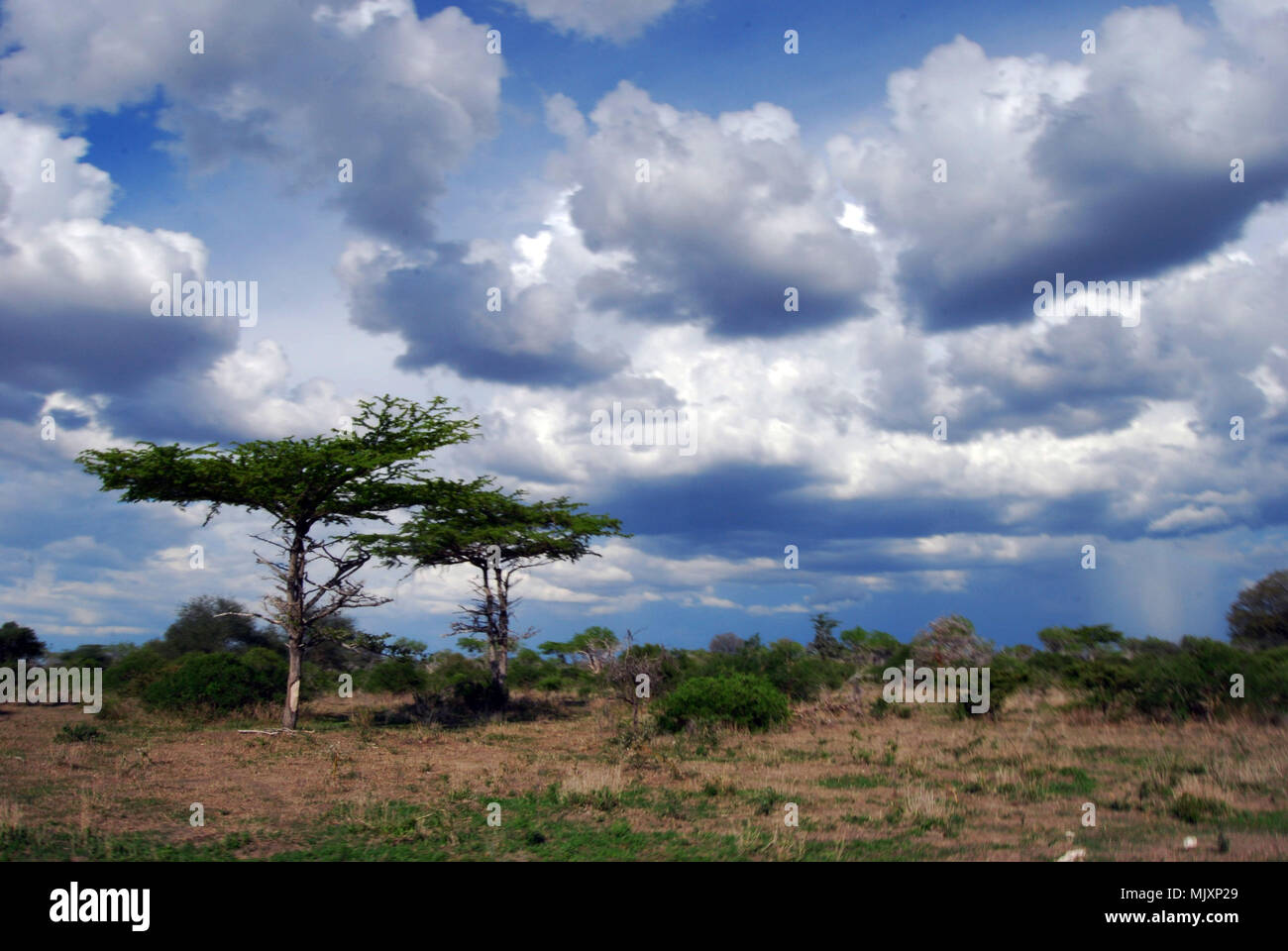 Selous tanzania landscape hi-res stock photography and images - Alamy