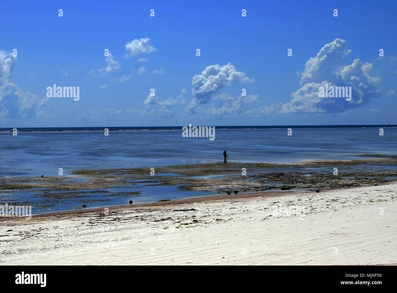 Bwejuu beach zanzibar hi-res stock photography and images - Alamy