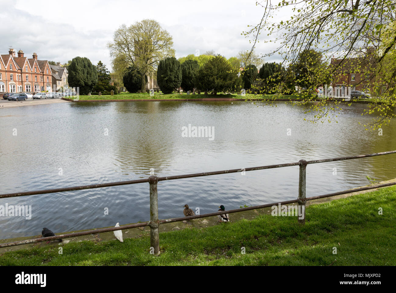 Pond known as the Crammer, on the Green in Devizes, Wiltshire, England ...