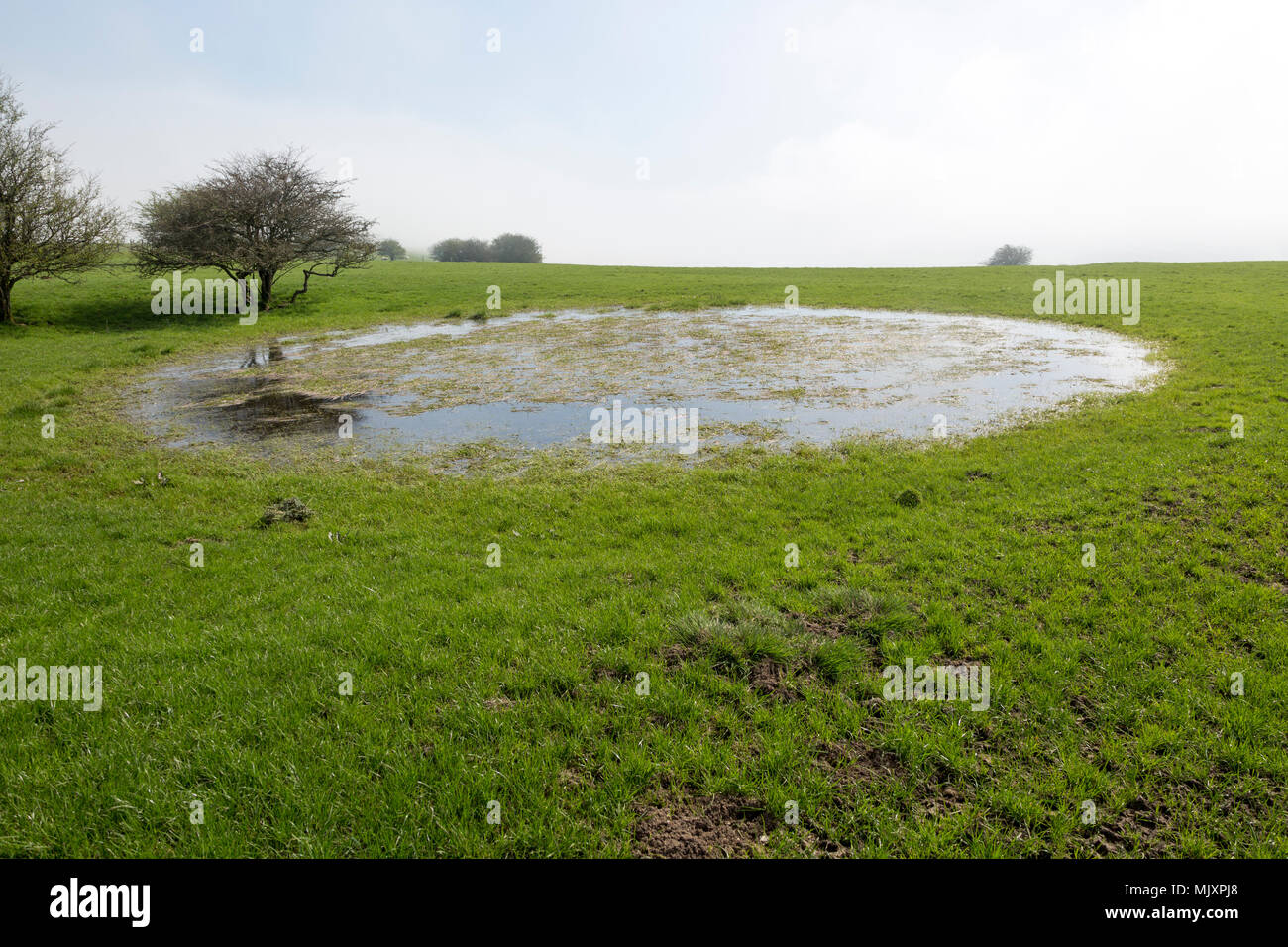 Steep pond slope hi-res stock photography and images - Alamy