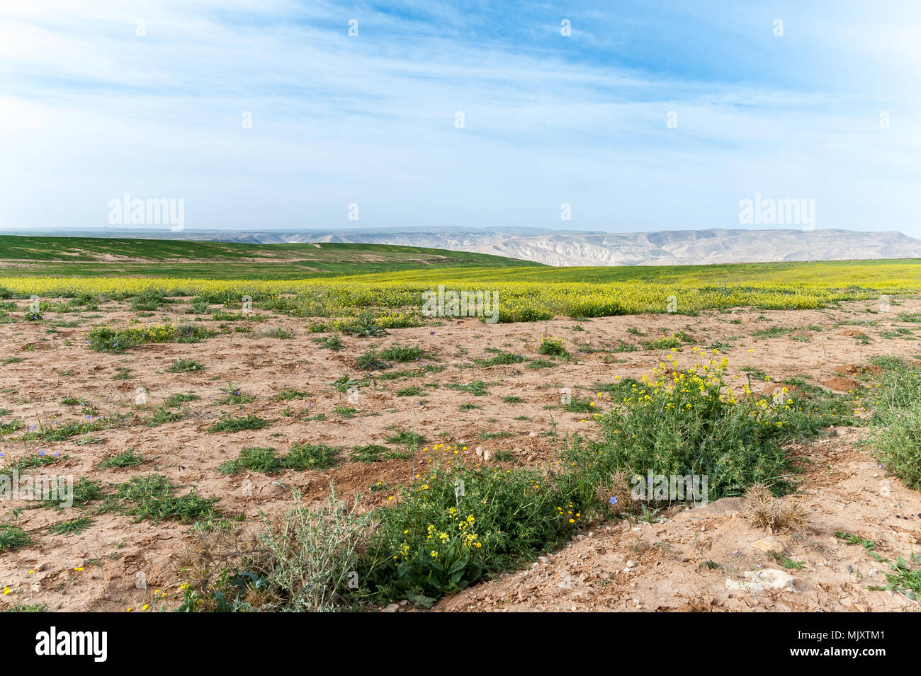 Dana Biosphere Reserve is Jordan's largest nature reserve, located in ...