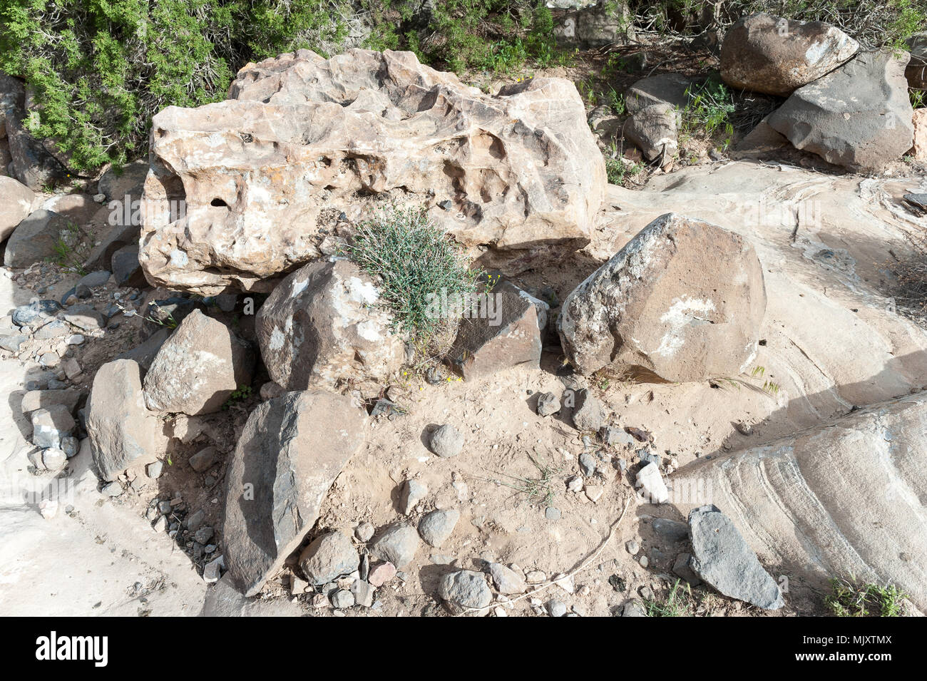 Dana Biosphere Reserve is Jordan's largest nature reserve, located in ...