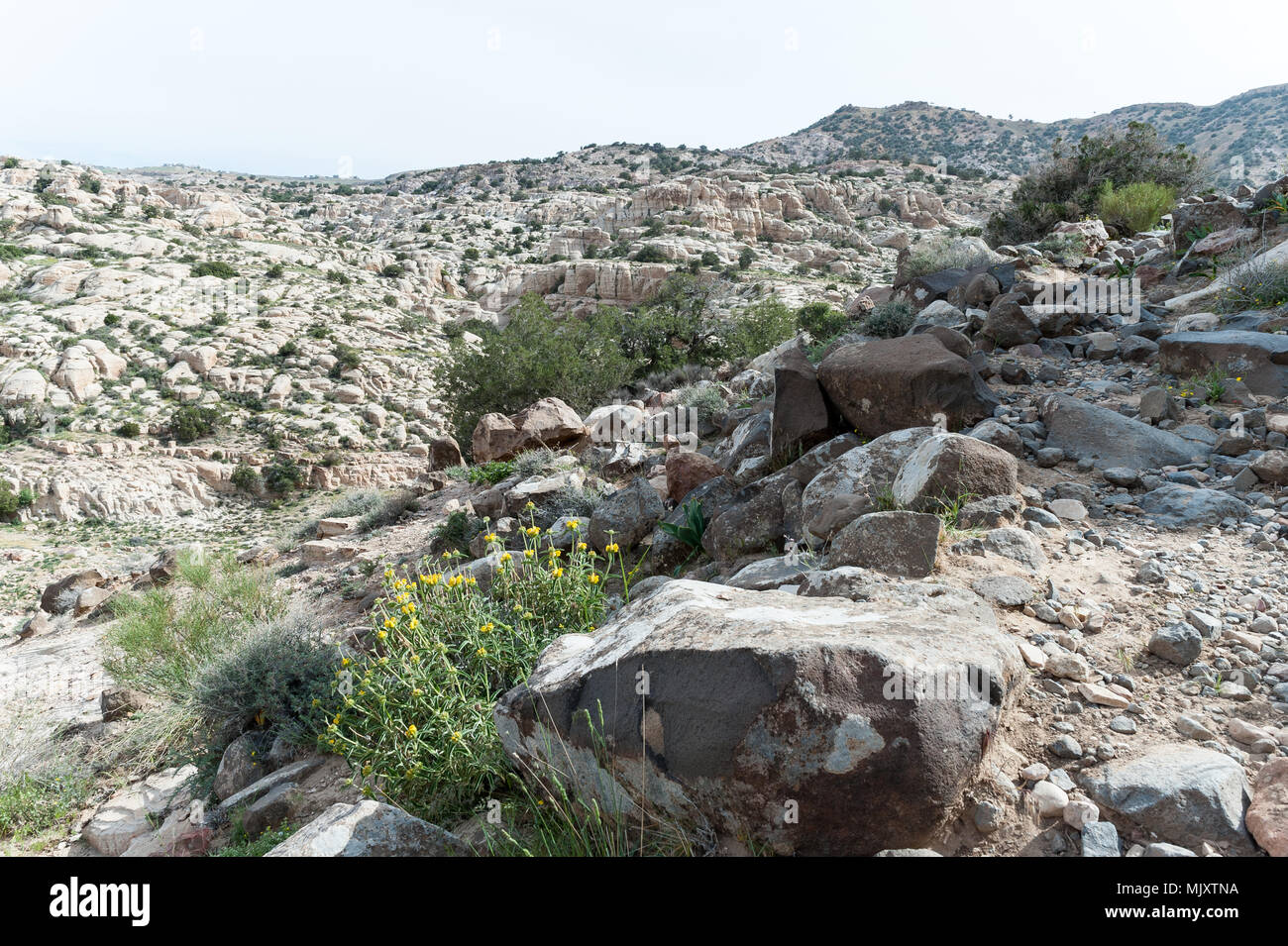 Dana Biosphere Reserve is Jordan's largest nature reserve, located in ...