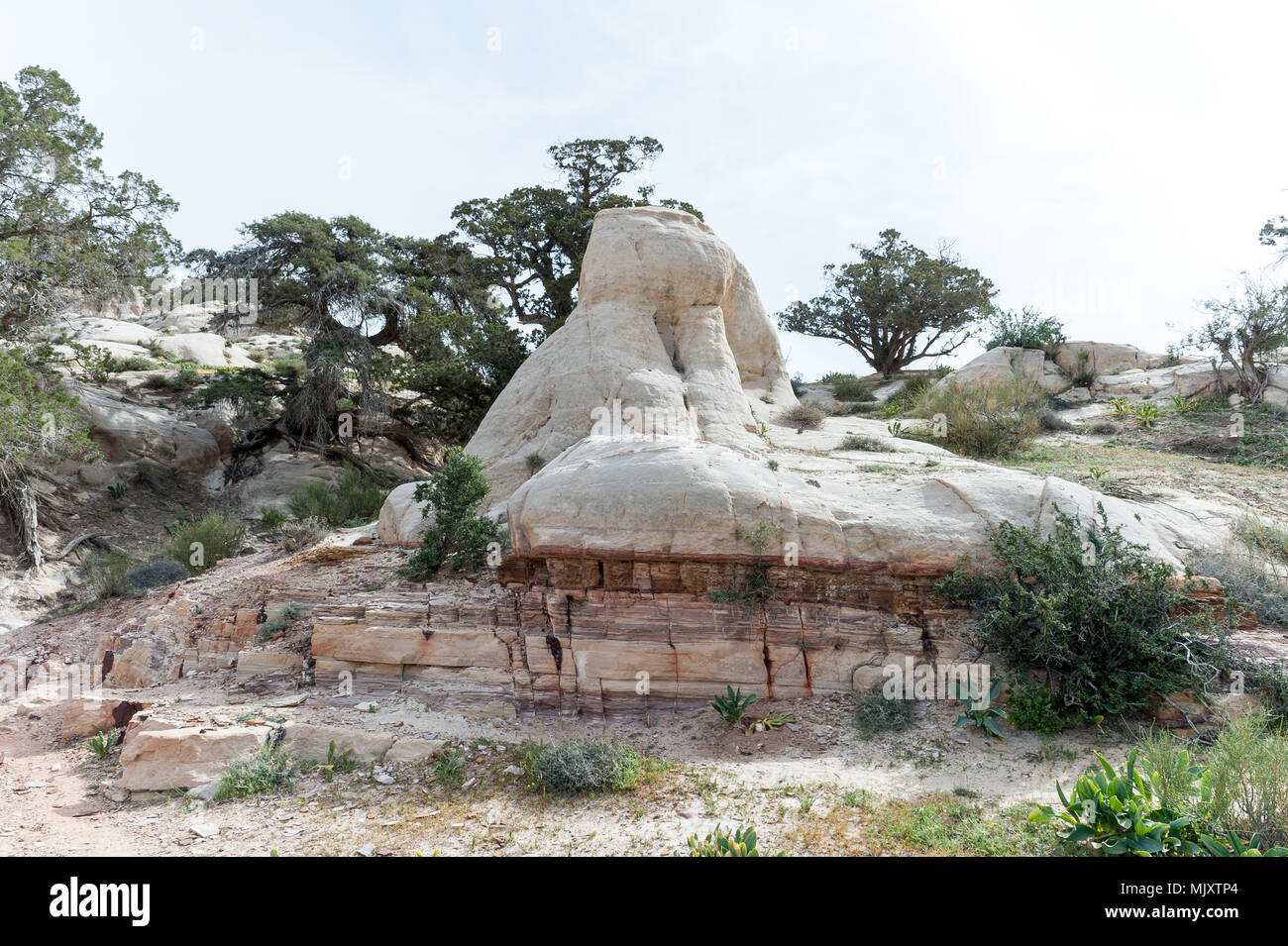 Dana Biosphere Reserve is Jordan's largest nature reserve, located in ...