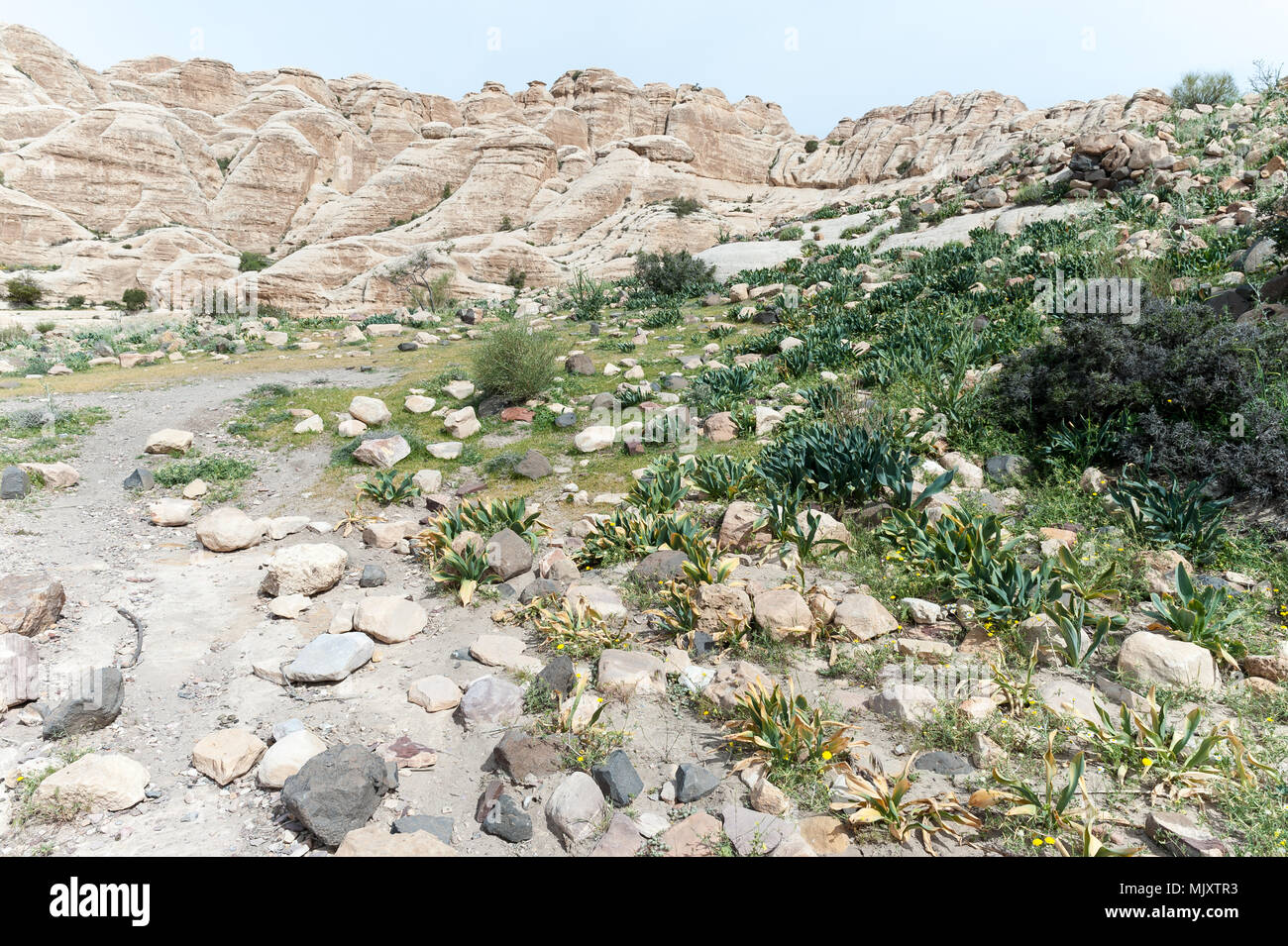 Dana Biosphere Reserve is Jordan's largest nature reserve, located in ...
