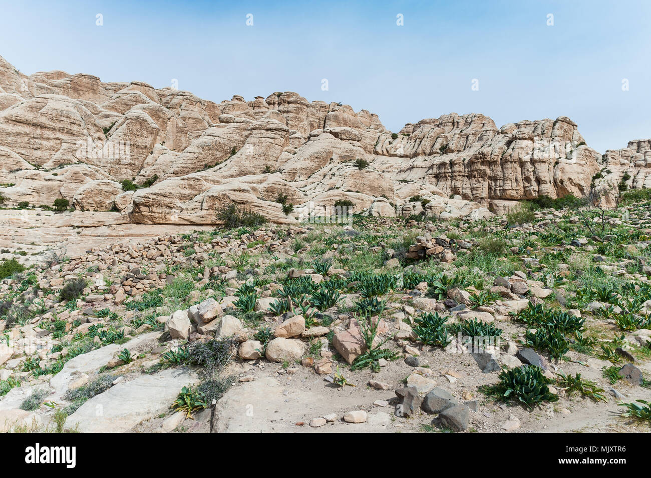 Dana Biosphere Reserve is Jordan's largest nature reserve, located in ...