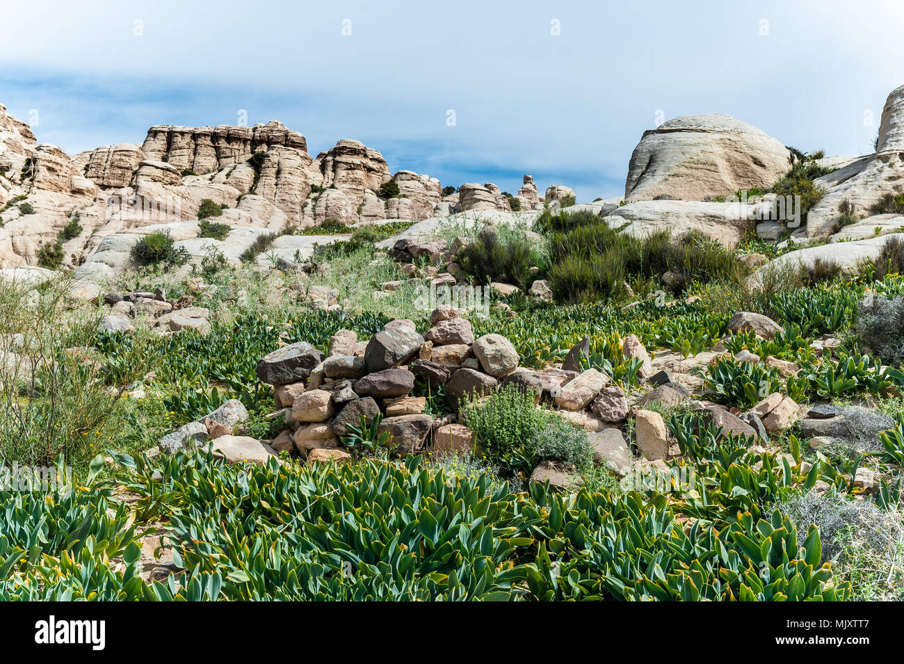 Dana Biosphere Reserve is Jordan's largest nature reserve, located in ...