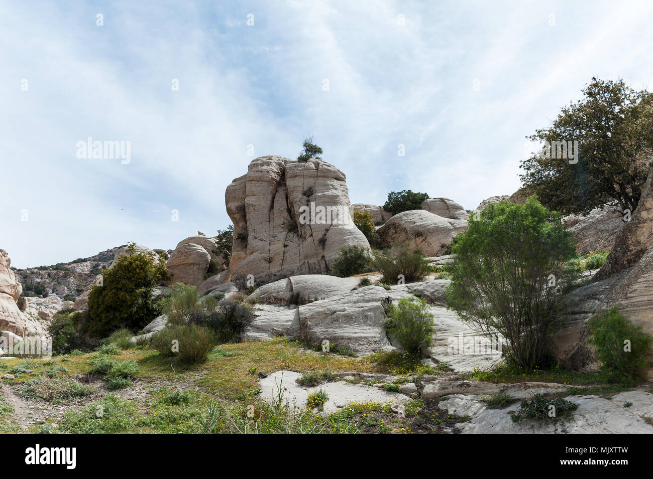 Dana Biosphere Reserve is Jordan's largest nature reserve, located in ...