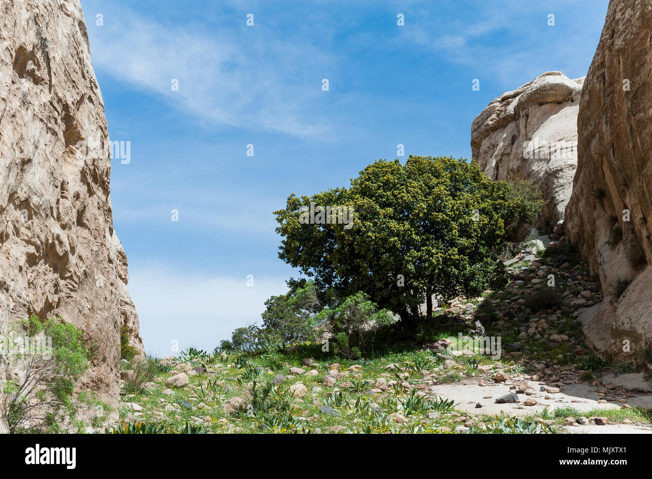 Dana Biosphere Reserve is Jordan's largest nature reserve, located in ...