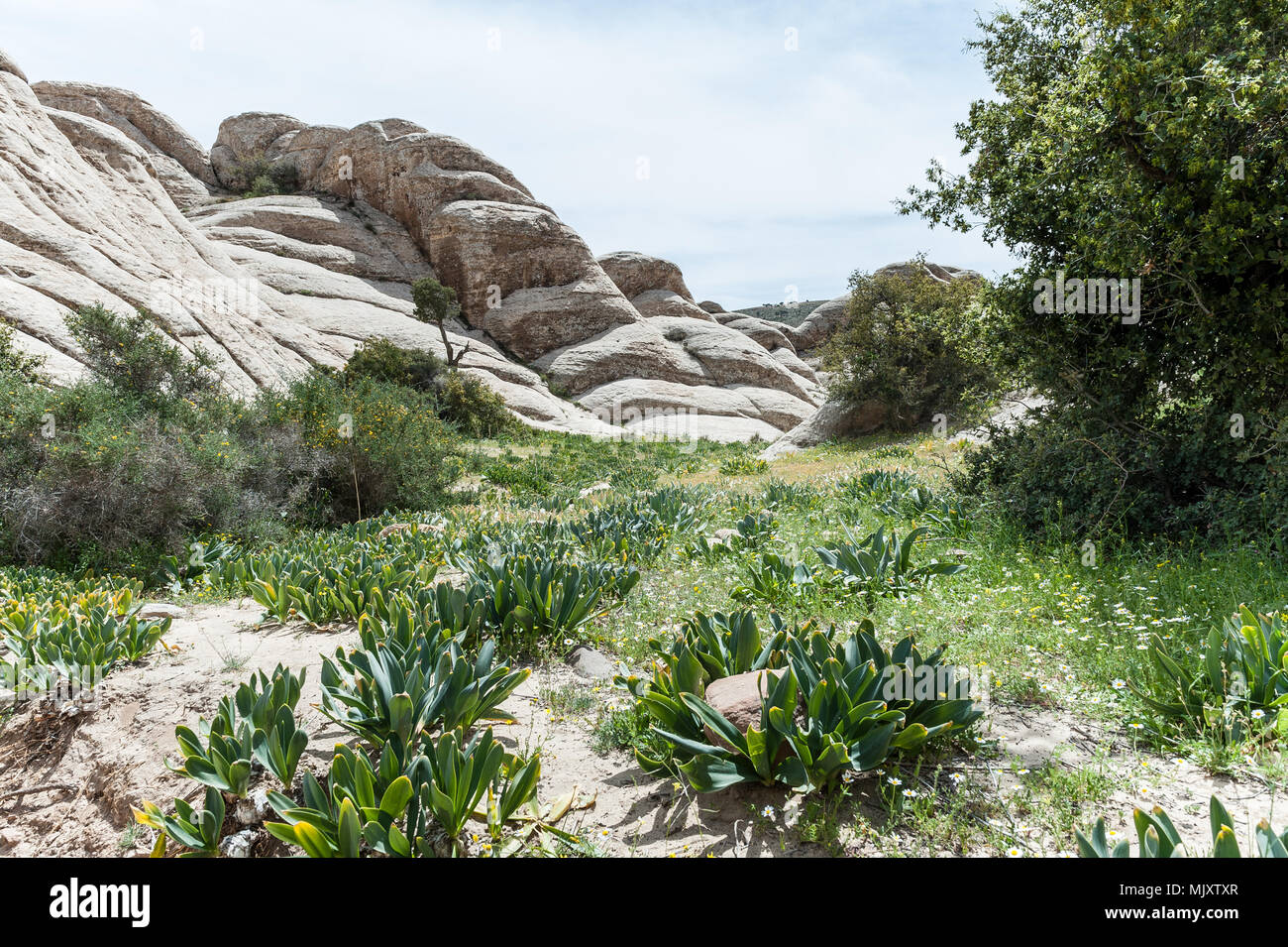 Dana Biosphere Reserve is Jordan's largest nature reserve, located in ...
