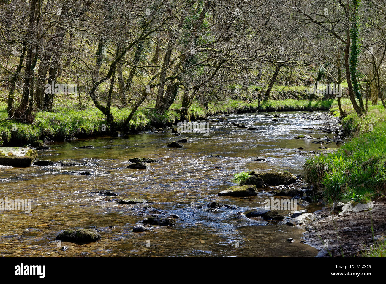River Barle near Dulverton, Exmoor, Somerset Stock Photo - Alamy