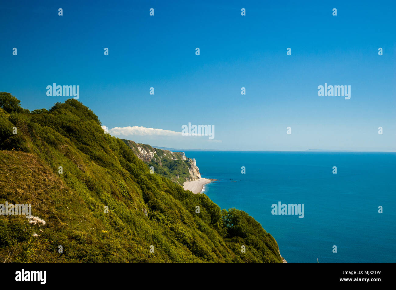 Littlecombe shoot hi-res stock photography and images - Alamy