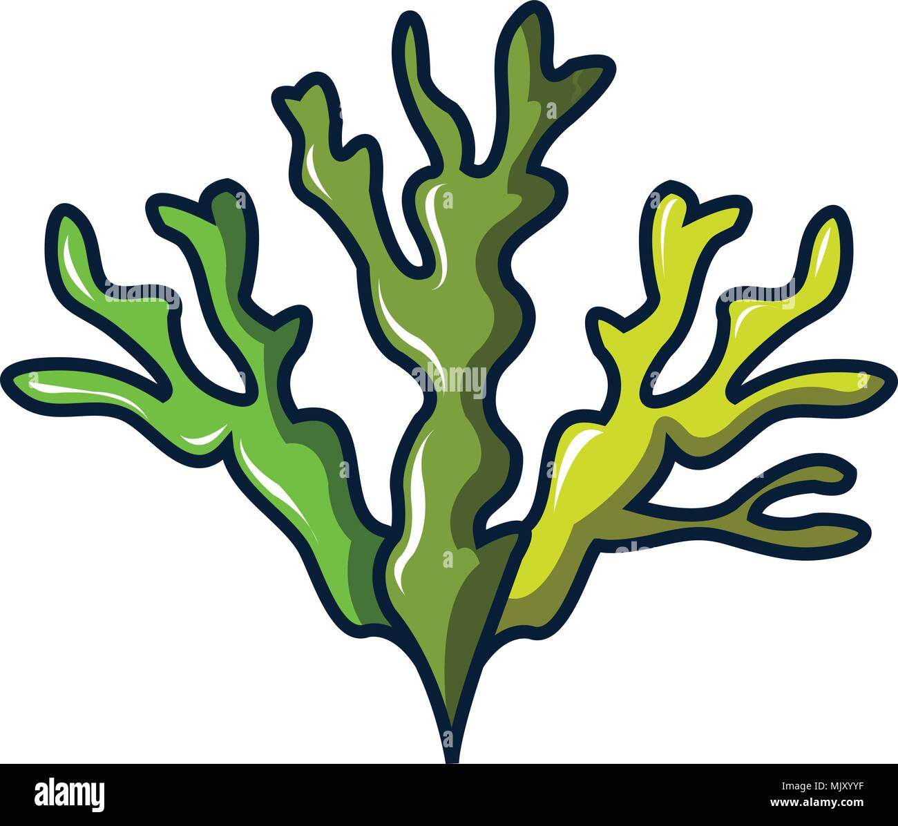 Seaweed icon, cartoon style Stock Vector Image & Art - Alamy