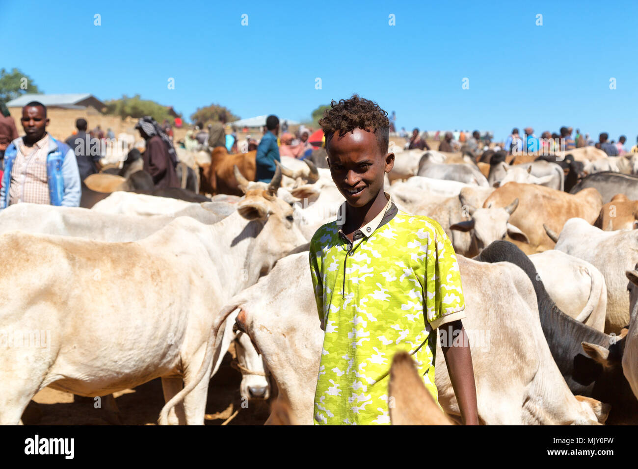 ETHIOPIA,BABLILE-CIRCA JANUARY 2018--unidentified people in the animal ...