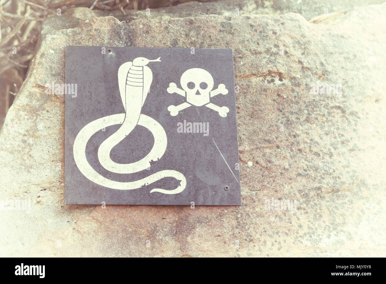 in south africa the metal signal of the danger for wild snake and the ...