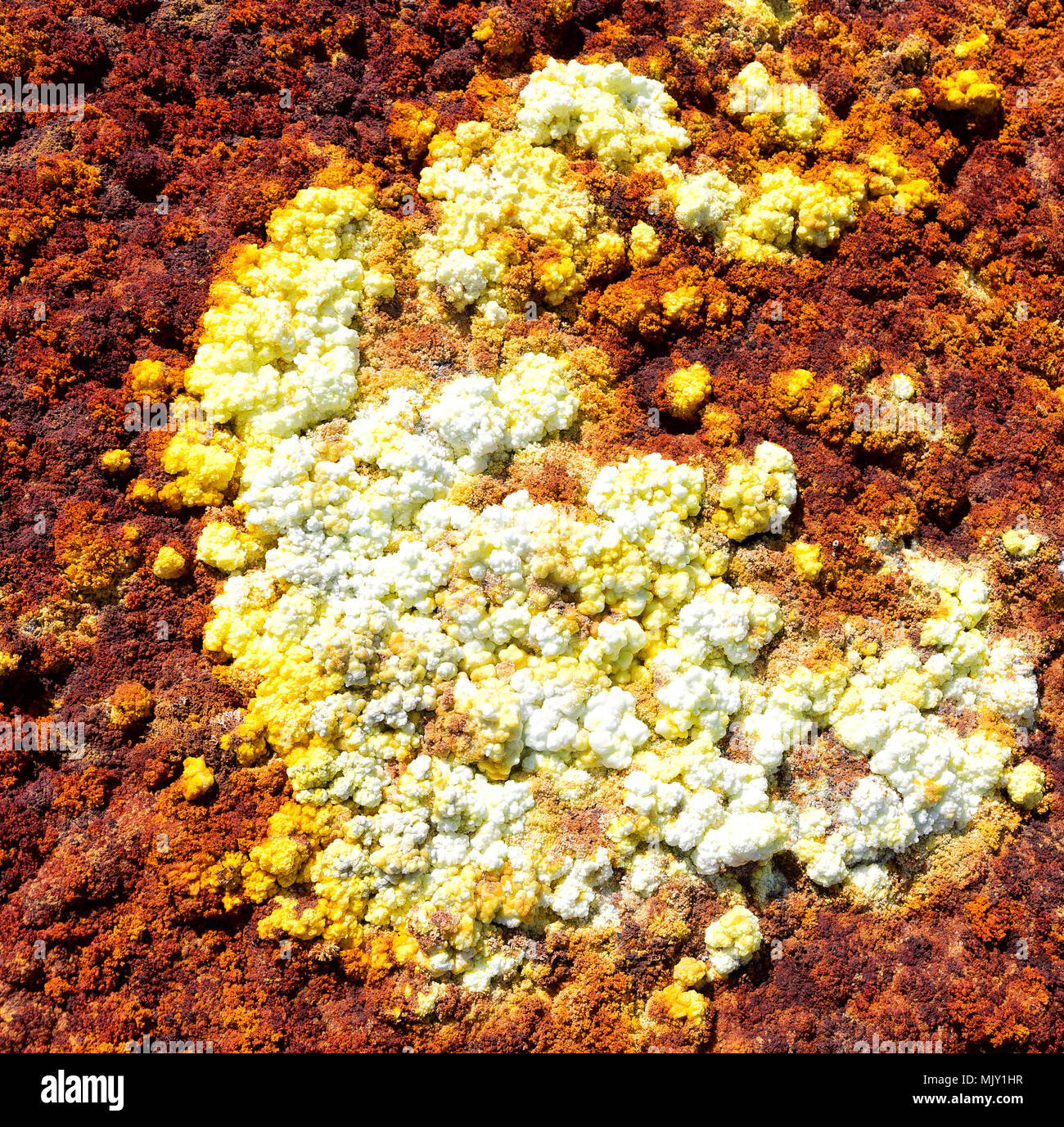 in danakil ethiopia africa the volcanic depression of dallol Stock ...