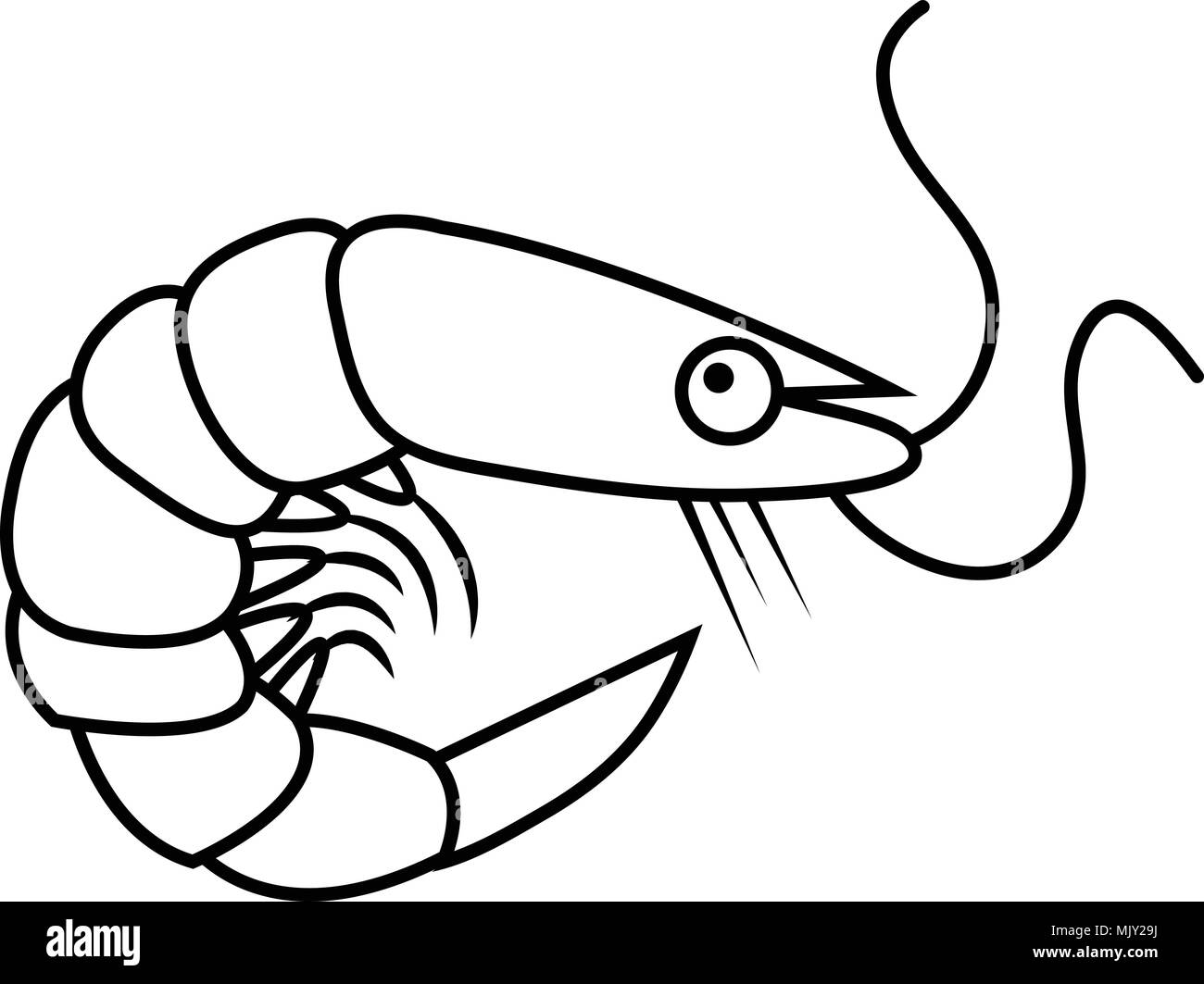 Shrimp Outline